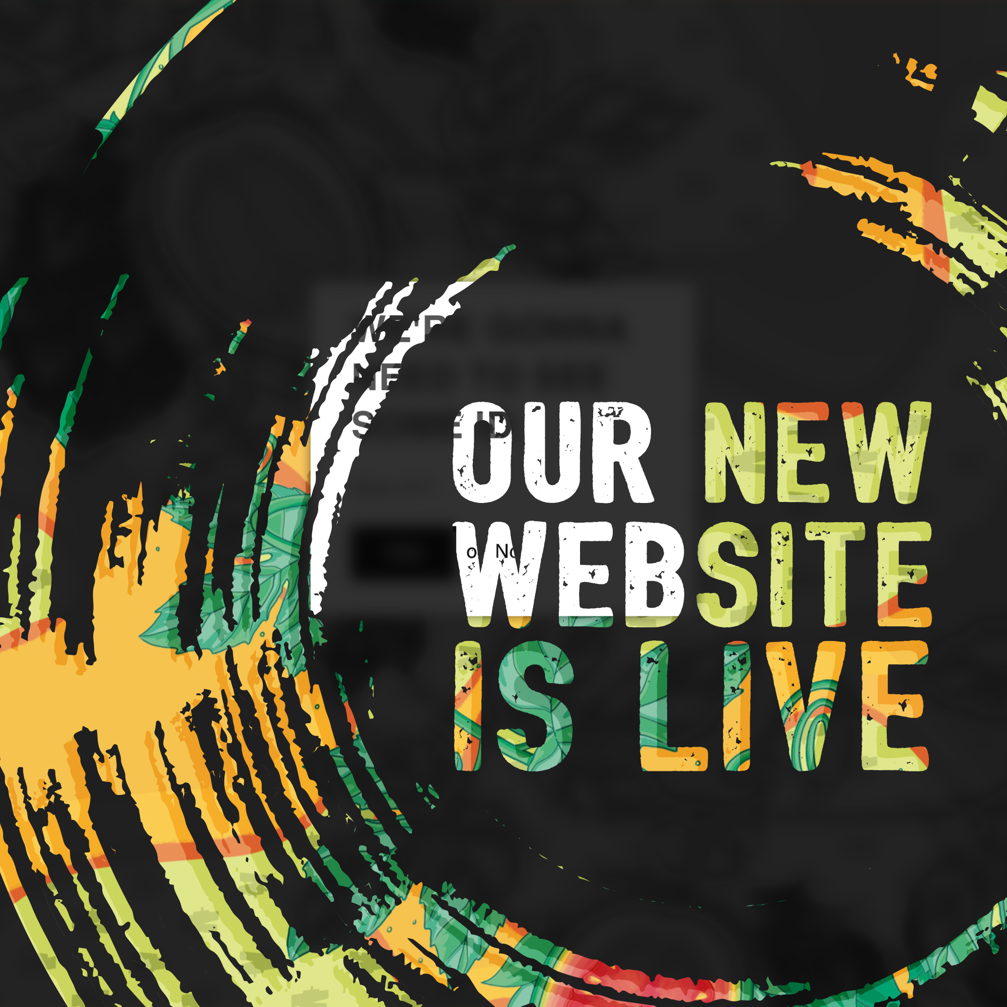 2022 website rollout – Cherry Street Brewing